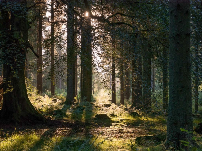 ABOUT BAMFF - Bamff Ecotourism